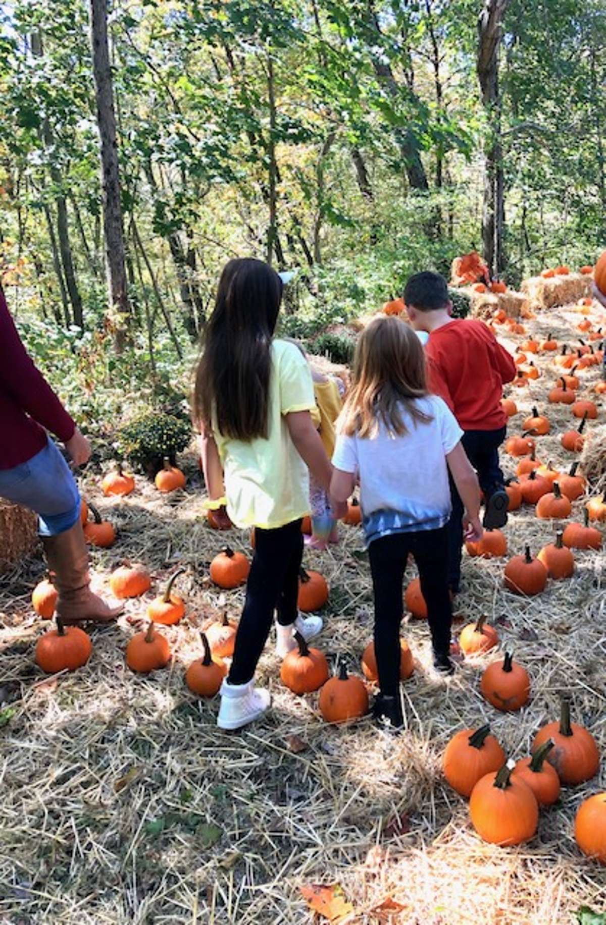 Pumpkin Patch Special Tickets | Stewartstown, PA | Stewartstown Railroad