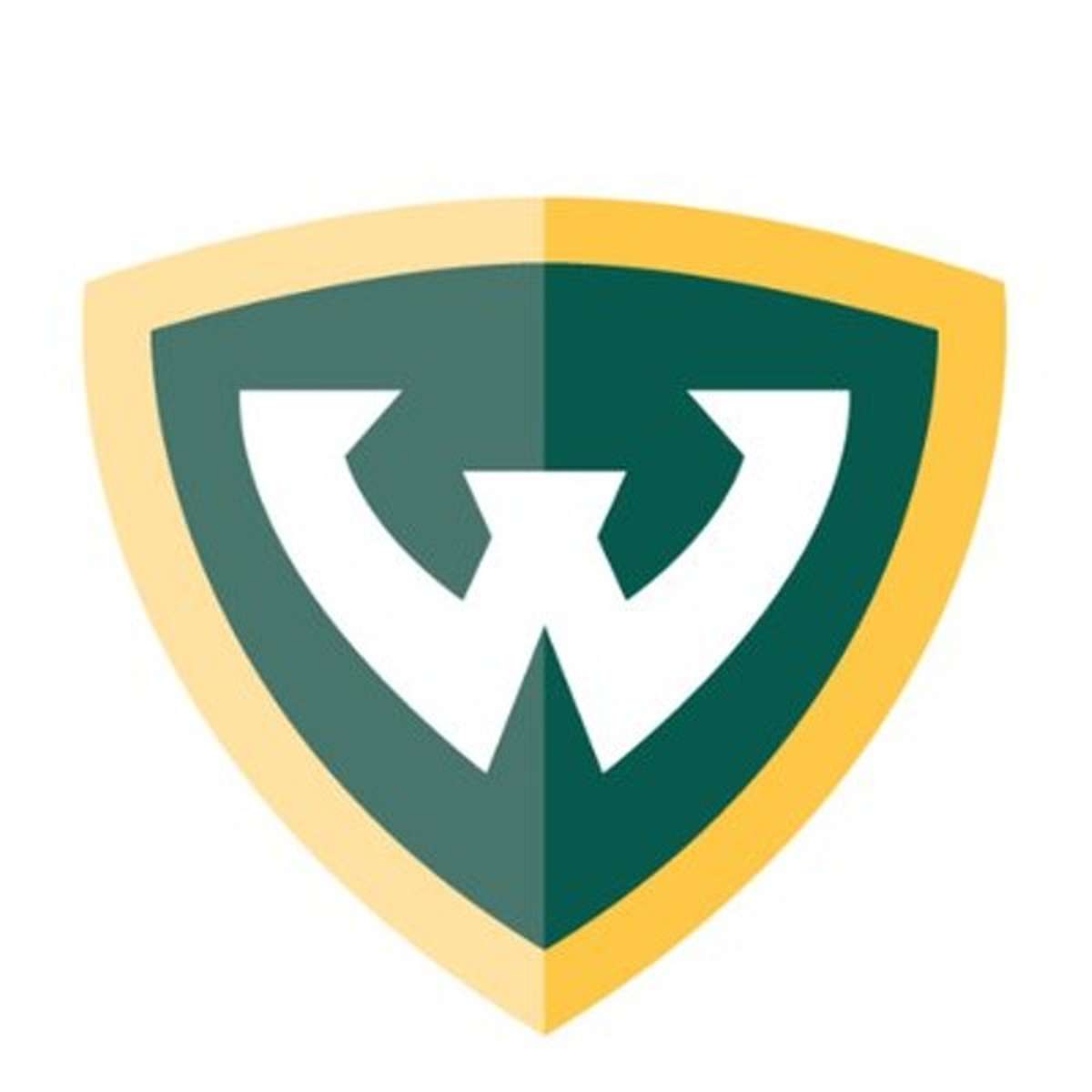 Wayne State Football vs. Grand Valley State Tickets | Detroit, MI | Tom ...