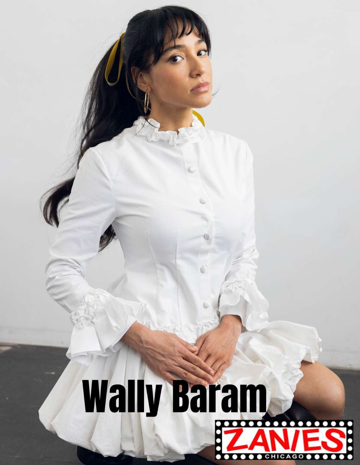 Wally Baram Tickets | Chicago, IL | Zanies Chicago