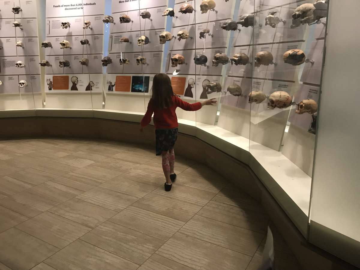 Families Together: Human Body - Saturday, September 20th @ 10 AM ...